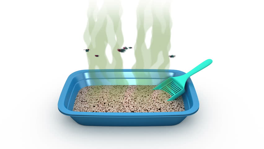 Cat Litter Box In Prohibited Sign 3d Animation In Cartoon Style Stock Footage Video 10178456