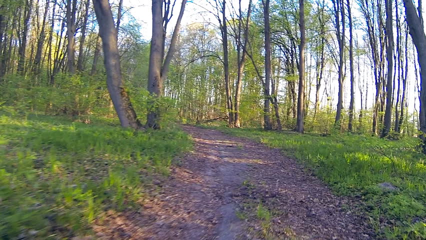 Walking Pov In The Forest Wide Angle Stock Footage Video 4161445 Shutterstock