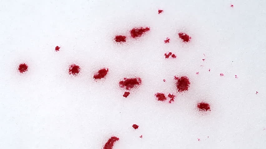 Blood Trail In Snow