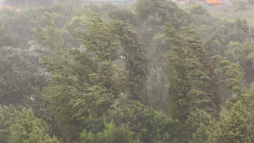 Very Strong Wind And Rain Over The Treetops. Summer Wind Storm Over The ...