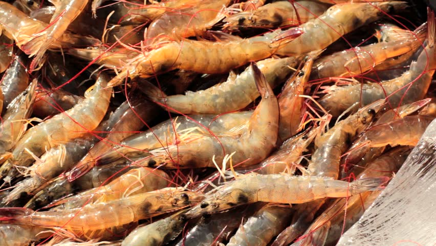 Alive Shrimps At Fish Market, Vietnam, Hochiminh City. Stock Footage ...