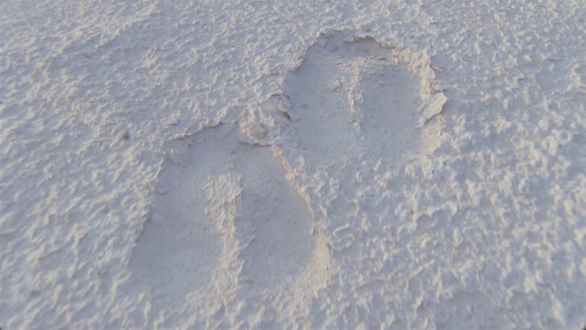 Giraffe Track In Dry Clay Stock Footage Video 5813165 - Shutterstock