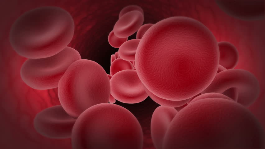 Blood Animation