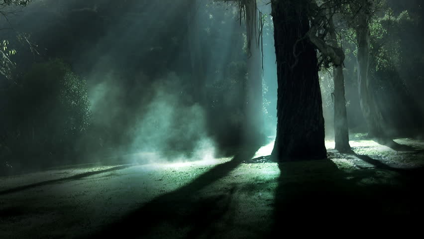Spooky Night Stock Footage Video - Shutterstock