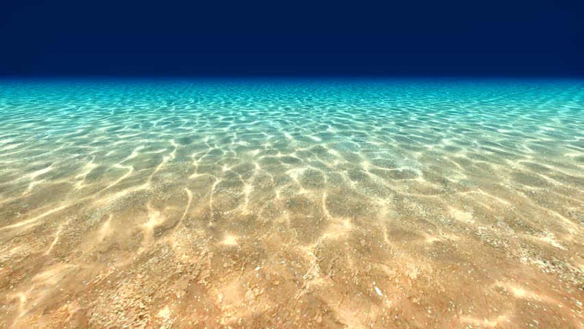 Swimming In Tropical Waters Stock Footage Video 990742 - Shutterstock